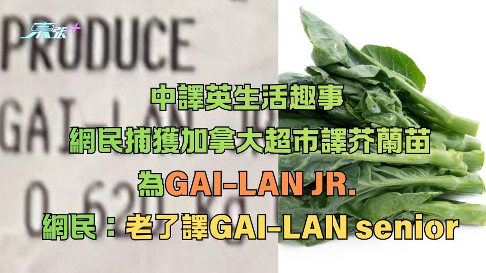 網民捕獲加拿大超市譯芥蘭苗為GAI-LAN JR 網民：老了譯GAI-LAN Senior - 東張+